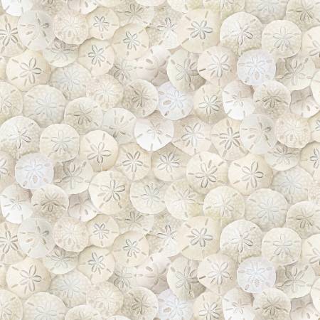 Beach Day - Sand Dollars – Miller's Dry Goods